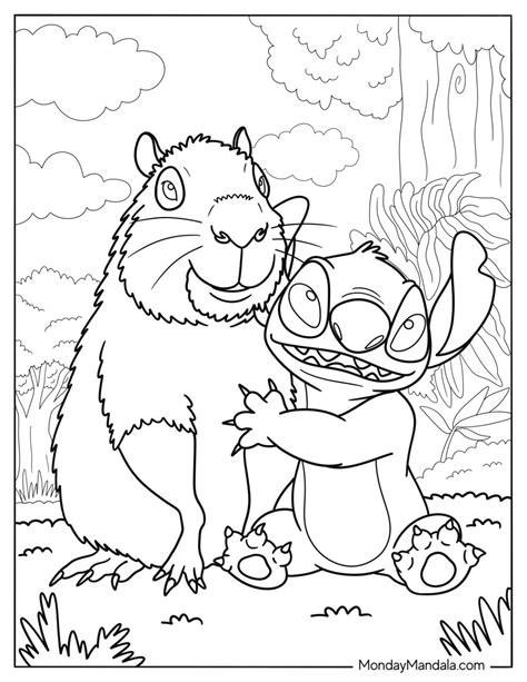 Capybara Coloring Page Capybara Coloring Book Page Stock Illustrations