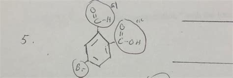 Solved Name The Following Compounds Which Have Two A Or Chegg Com