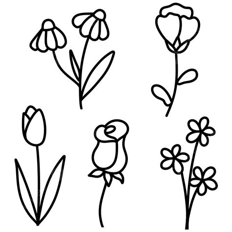 미적 꽃 낙서 무색 디자인 미적인 꽃 낙서 Png 일러스트 및 Psd 이미지 무료 다운로드 Pngtree