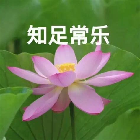 妈妈们的头像 堆糖美图壁纸兴趣社区