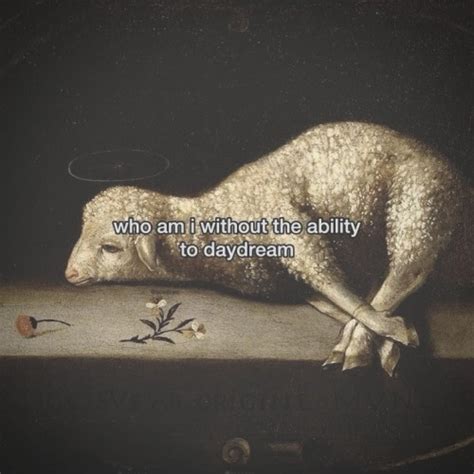 Softfem Dom On Tumblr