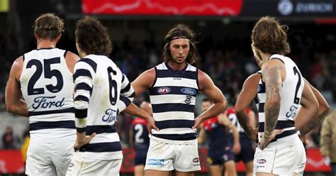 Jezza The Saviour Theres Other Alarming Issues Cats Must Fix First