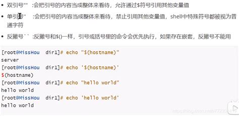 Linux Bash中的引号：单双引号、反撇号反撇号中可以放什么内容 Csdn博客