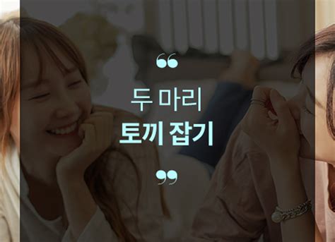 4기 두 마리 토끼 잡기 노민지님