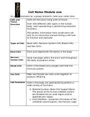Understanding Cells And Tissues An Overview Course Hero