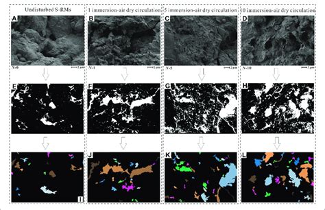 Pore Recognition Process A D Are Sem Original Pictures E H Are Download Scientific