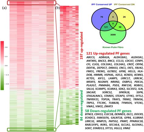 Heat Map View Of Differentially Expressed Genes In Six Ipf Datasets