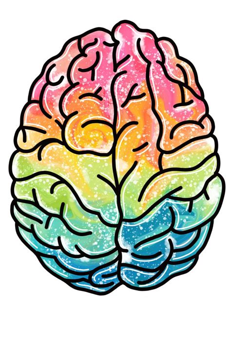 Grade 1 Brain Diagram