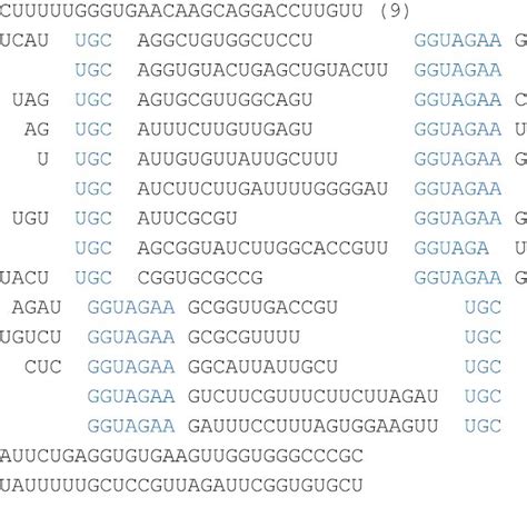 Nucleotide Sequences In The Random Region Of The Rna Subunit From The Download Scientific