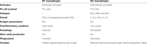 Difference Between M1 And M2 Macrophages Download Scientific Diagram