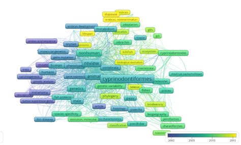 Ab Visualization Of The Main Terms Contained In All Fields After Download Scientific