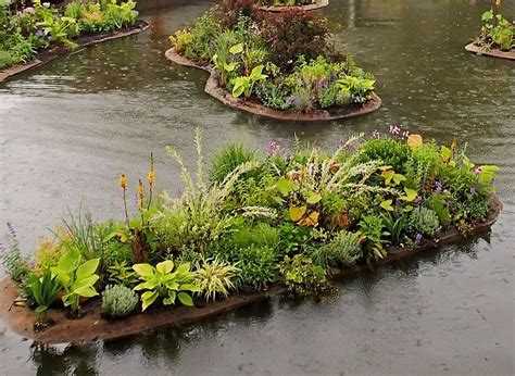 Gallery Floating Garden Natural Swimming Ponds Water Garden