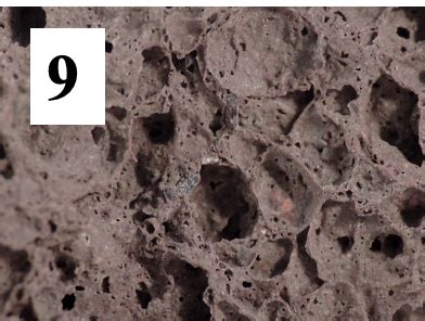 Exercise Sedimentary Rocks Points Sedimentary Chegg Com