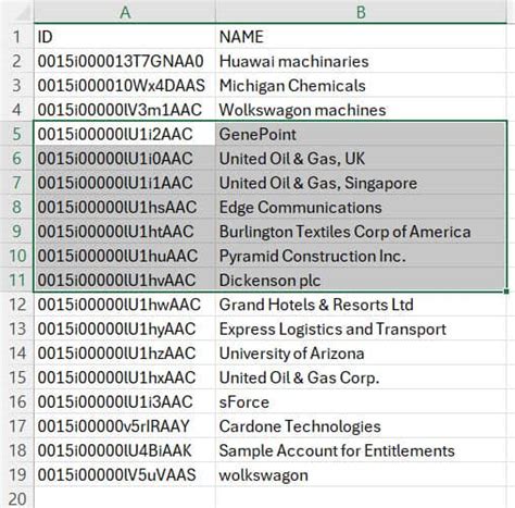 How To Mass Update Record Types With Data Loader In Salesforce