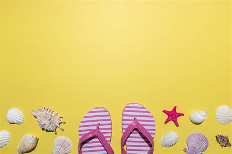 밝은 노란색 배경에 조개와 비치 슬리퍼와 창조적 인 구성 여름 최소 개념입니다 개념에 대한 스톡 사진 및 기타 이미지 개념 나선형 노랑 Istock