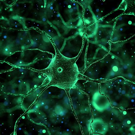 Electronic Medical Records And Machine Learning For Sepsis Prediction Humanitas Ai