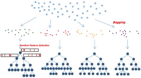 Ml Algorithm Random Forest Jess Chen Medium