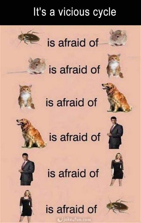 Joke4fun Memes Vicious Cycle