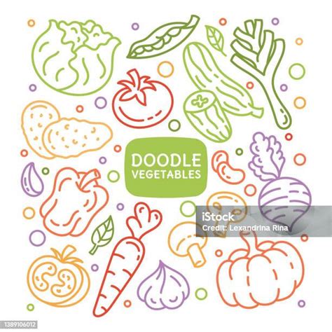 낙서 요소 야채와 잎의 세트 다이어트 건강한 음식 채식주의 채식주의 레스토랑 메뉴 채소에 대한 스톡 벡터 아트 및 기타 이미지 Istock