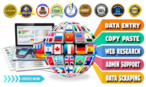 do data entry data analysis data mining excel web research va word