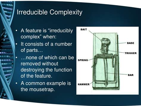 Ppt Evolution And The Bible Powerpoint Presentation Id1909229