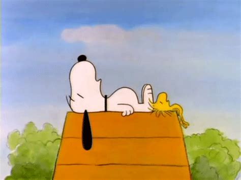 Snoopy Napping Reaction S