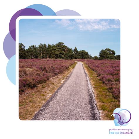 6 Prikkelarme Uitjes Voor Mensen Met Nah