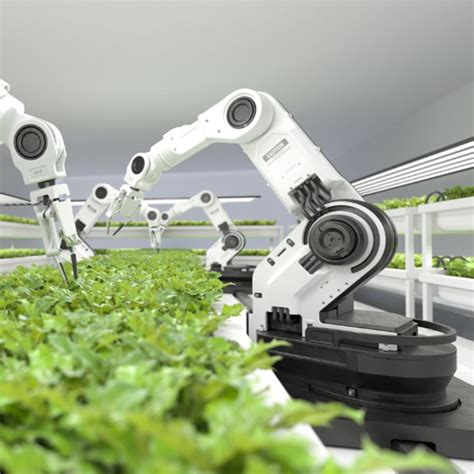 The Role Of AI In Vertical Farming Montel