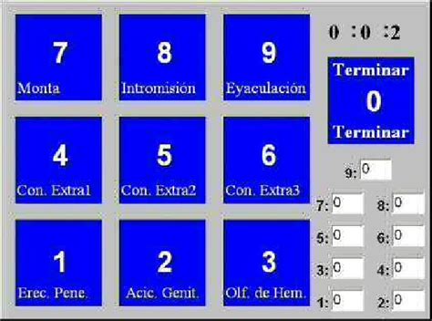 Pantalla De SexyMater Que Aparece Tras Haber Elegido La Tarea De Download Scientific Diagram