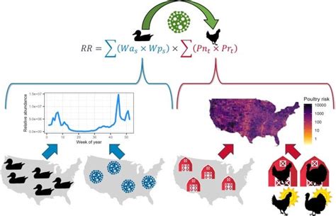 Using An Adaptive Modeling Framework To Identify Avian Influenza