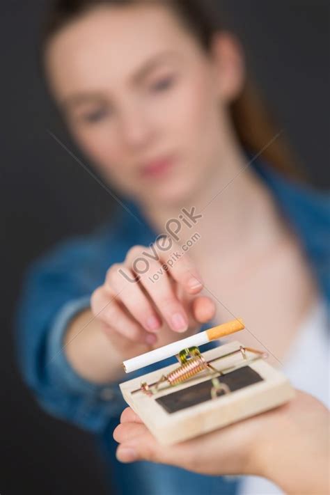 Pretty Mouse Images HD Pictures For Free Vectors Download Lovepik Com