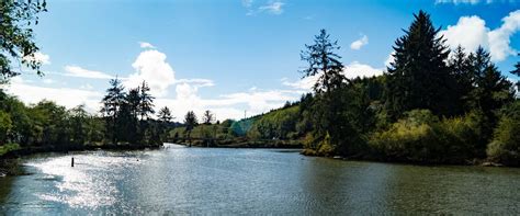 Book The Best Cheap Hotels In Hoquiam Wa From Ca 104 Hoquiam Cheap Hotels Expedia Ca