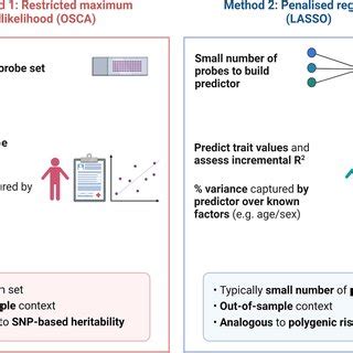 Distinction Between Two Primary Analysis Methods In The Present Study Download Scientific