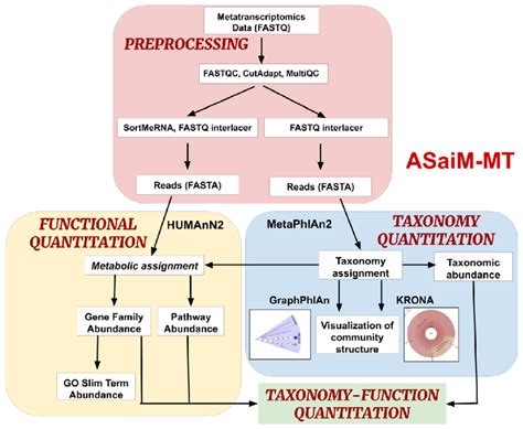 Asaim Mt Workflow The Workflow Is Divided Into 4 Parts I Download Scientific Diagram