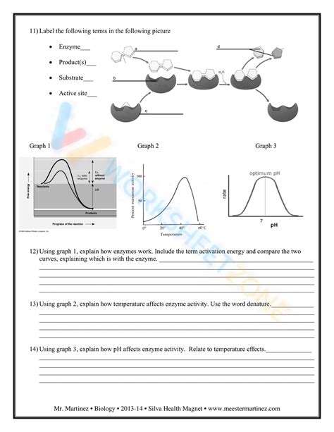 Free Printable Enzyme Worksheets For Babes