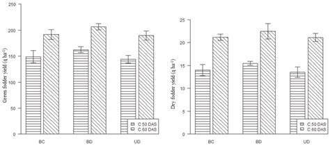 Effect Of Planting Techniques And Cutting Practices On Green Fodder