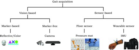 Sensing Modalities For Gait Acquisition The Gait Sequences Are