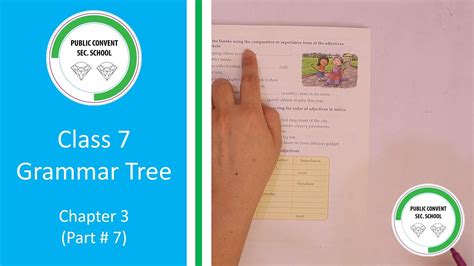 Grammar Tree Class 7 Chapter 3 Adjectives Part 7 Youtube