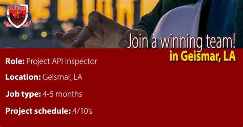 Now Hiring Project Api Inspector Sentinel Integrity