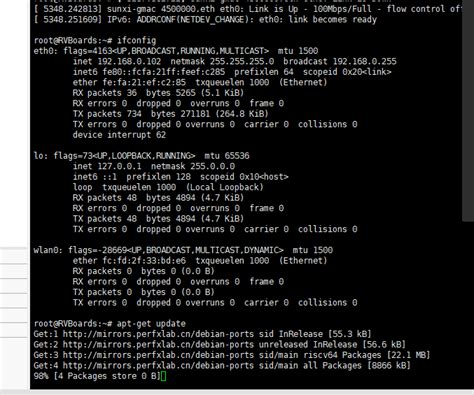 D1开发板的折腾过程记录 · Issue 156 · Openjdk Riscvjdk11u · Github