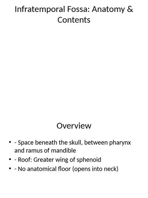 Infratemporalfossapresentation Pdf