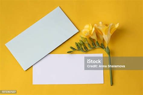 노란색 배경에 프리시아 꽃과 세련된 결혼식 초대 모형 상단 보기 0명에 대한 스톡 사진 및 기타 이미지 0명 개념 결혼식 Istock