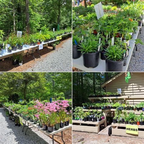 Master Gardeners Plant Sale Starts At 9 Am Tomorrow