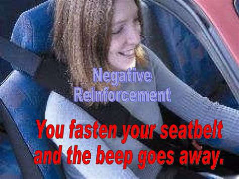 Section 2 Operant Conditioning Ppt