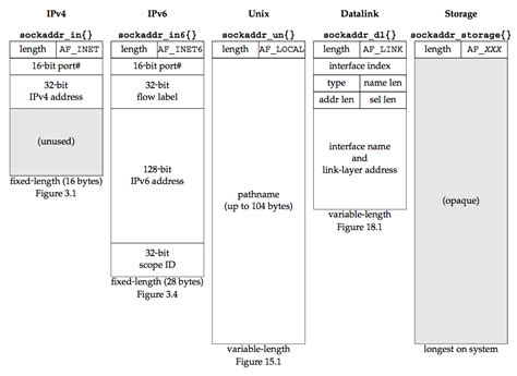 Socket Structures Explained At Jerry Magnuson Blog