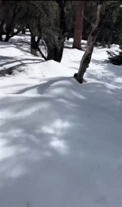 Winter Joslyn James Fucking In The Snow