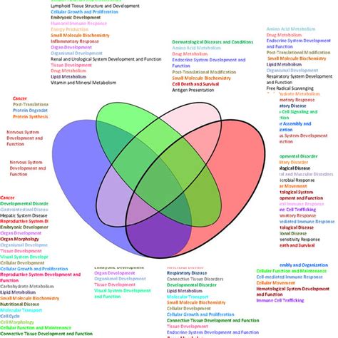 Overlap Between Gene Sets Of Four Female Cancer Top Biological Download Scientific Diagram