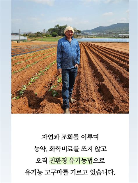 미니멀주연ㅣ채소과일식 자연식물식 저속노화 무안 유기농 고구마 깜짝오픈 합니다아 🍠 솔직히 말씀드릴게요 흑당이만큼은 아니지만 충분히 맛있어요 흑당이를 따라올 고구마는