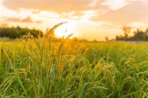 Inductive Automation On Linkedin Major Scada And Plc Upgrade Increases Uptime And Lowers