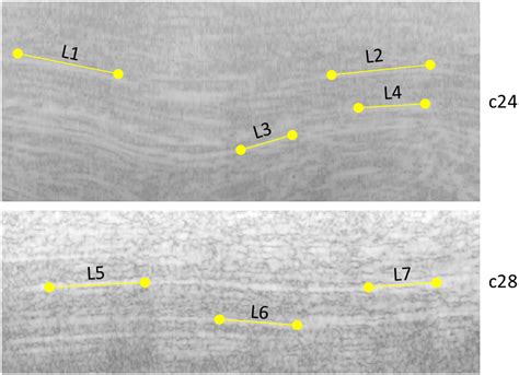 Layer Optimized Sar Processing And Slope Estimation In Radar Sounder Data Journal Of